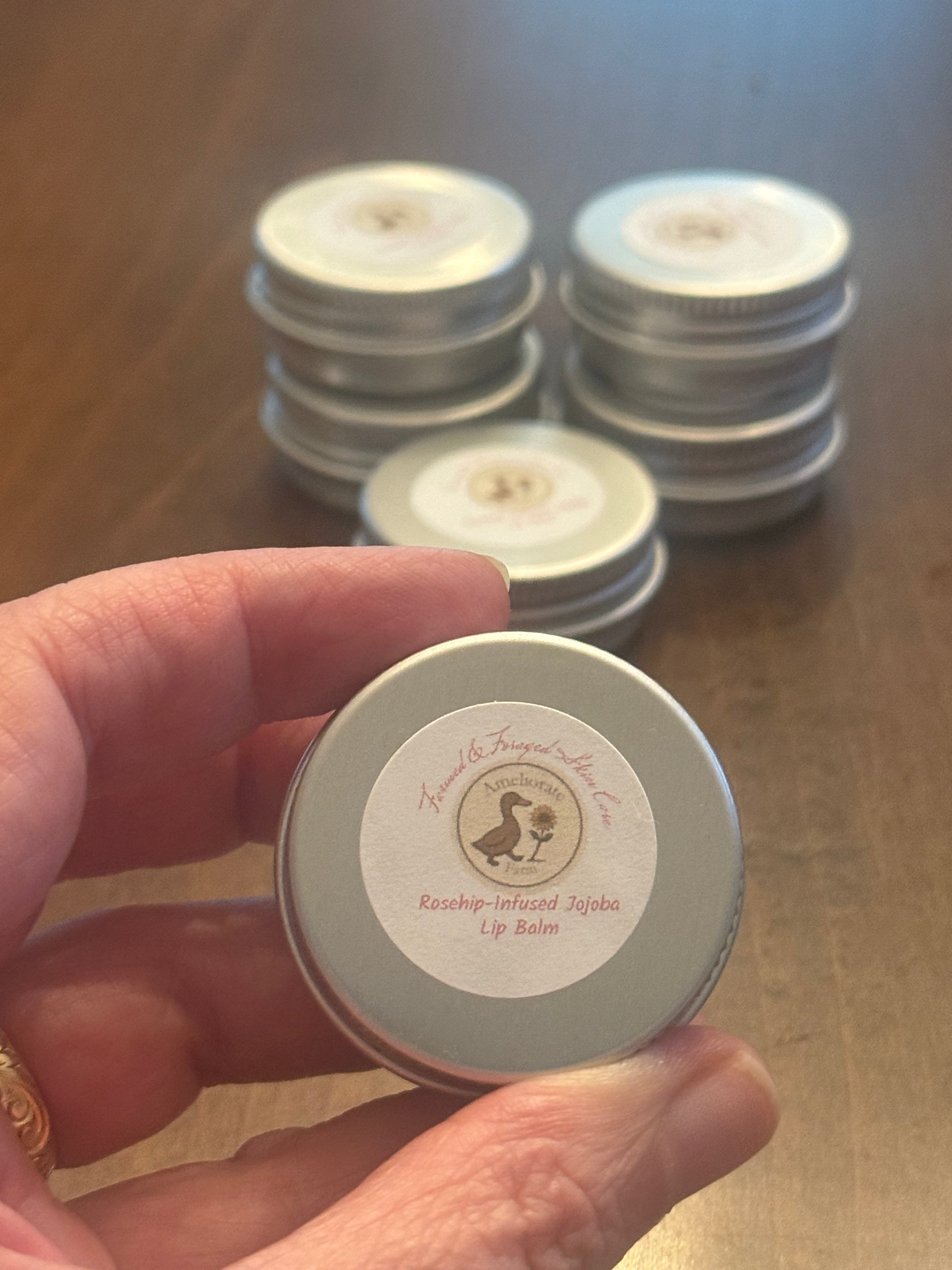 Rosehip-Infused Jojoba Lip Balm – Farmed & Foraged by Ameliorate Farm